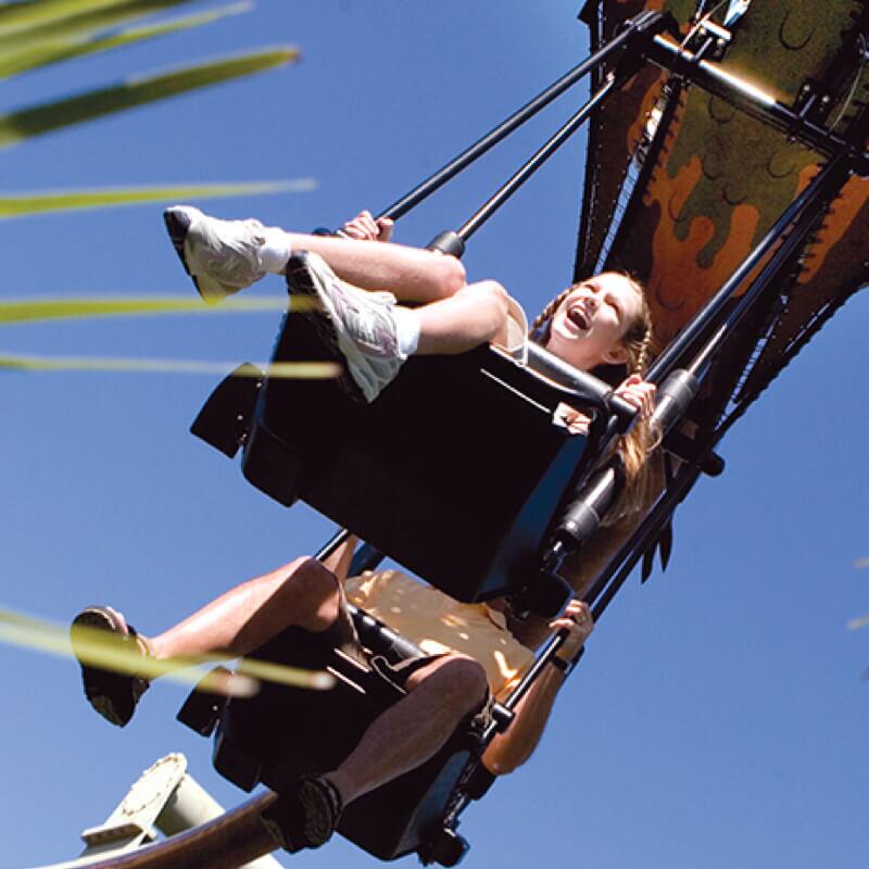 Pteranodon Flyers | Universal's Islands of Adventure™
