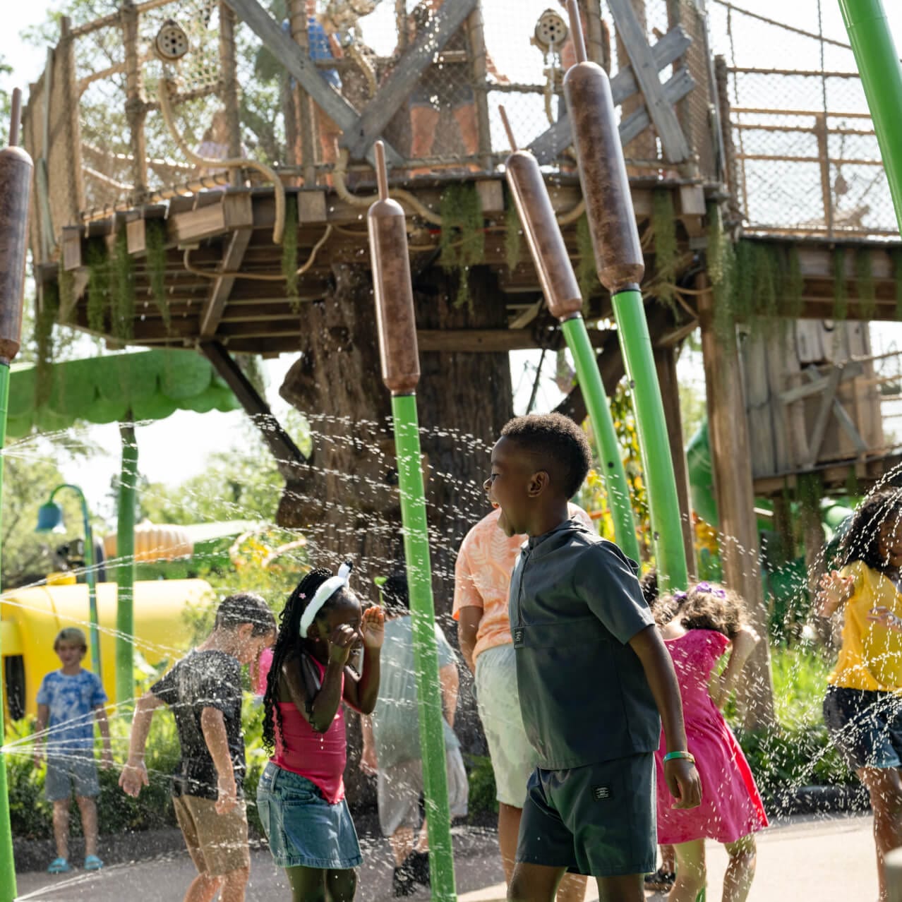 Shrek's Swamp for Kids & Toddlers | Universal Orlando Resort