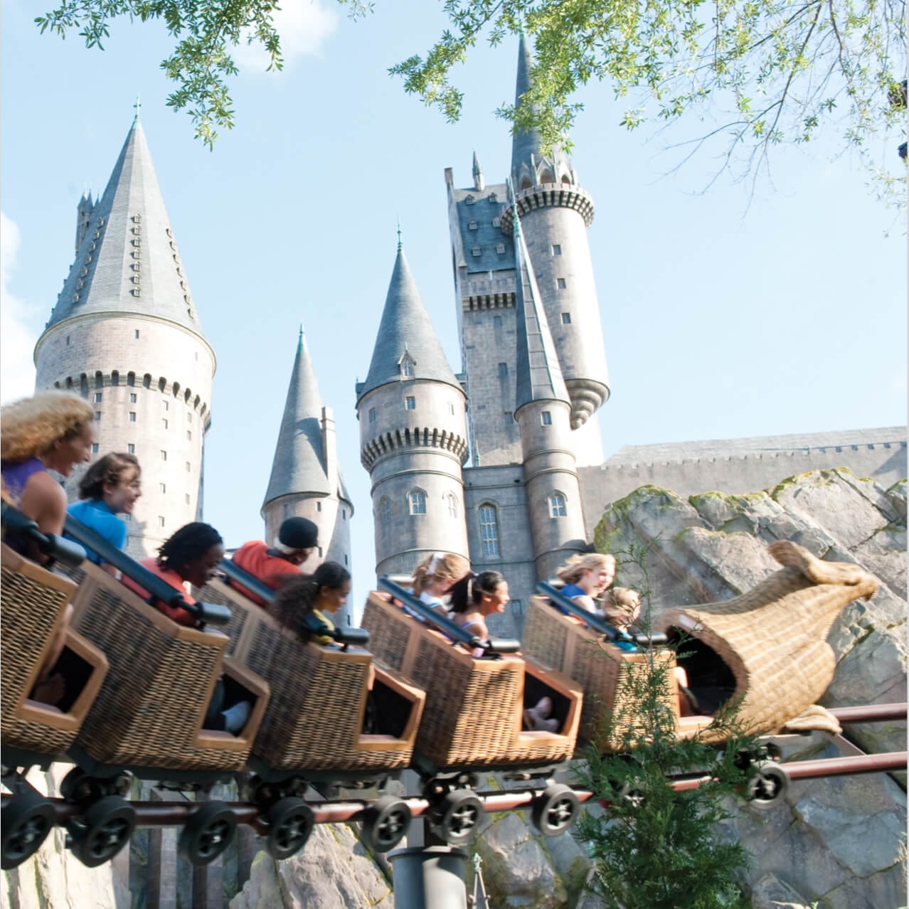 Hippogriff Harry Potter Flying There's A Video Of A Real Life