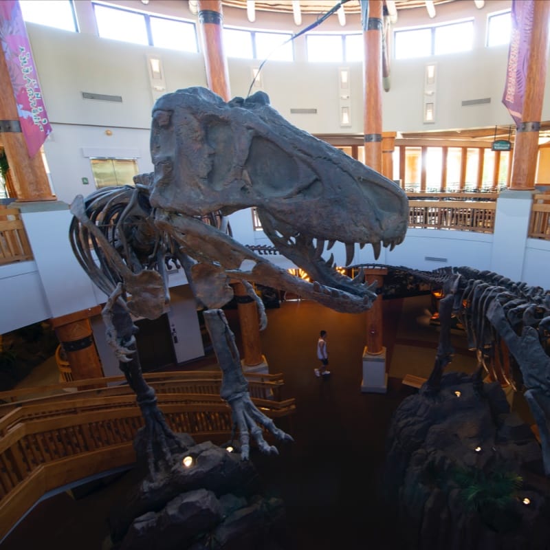 Jurassic Park | Universal Studios Florida