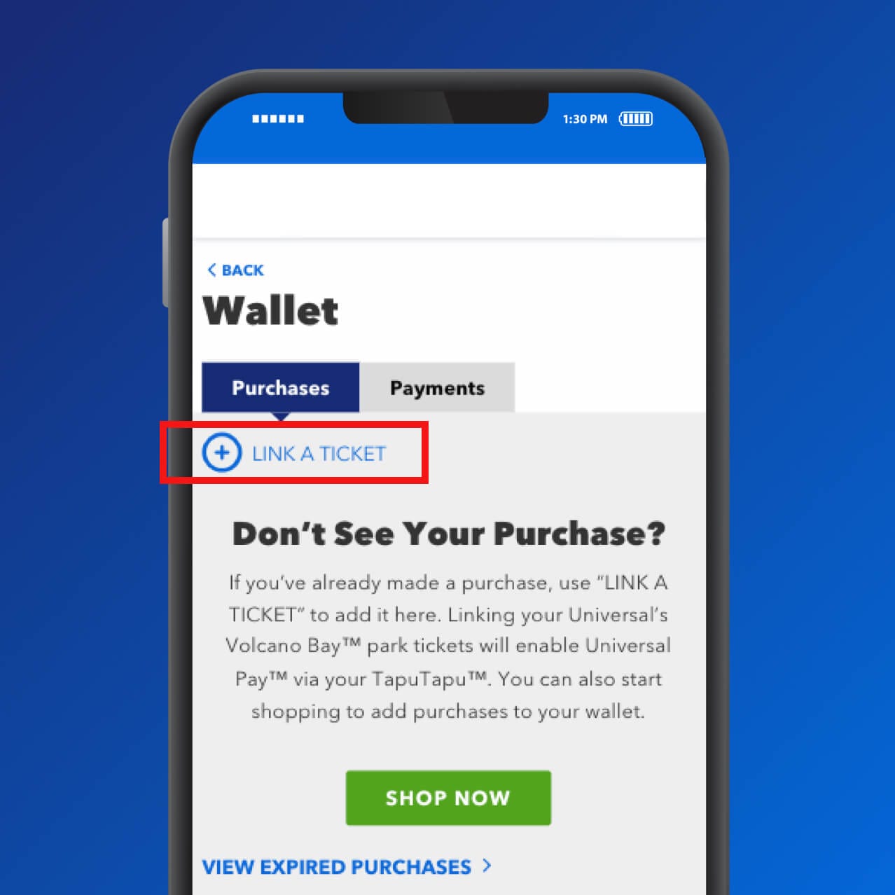 AP Tickets to Universal Epic Universe Orlando