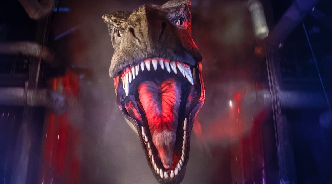 Préparer son Voyage à Universal Orlando Resort – Jolly Holiday with Claire